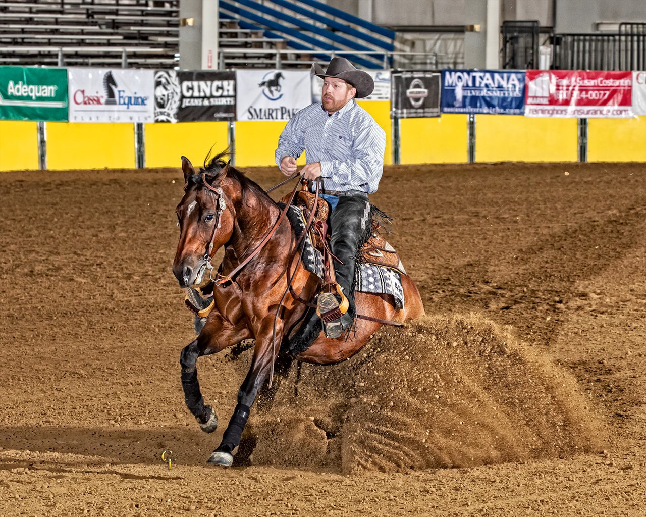 SOLD: 6 Horses in One Month – Nathan Kent Performance Horses
